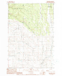 1990 Map of Hicks Spring, Wallowa County, OR — High-Res | Pastmaps